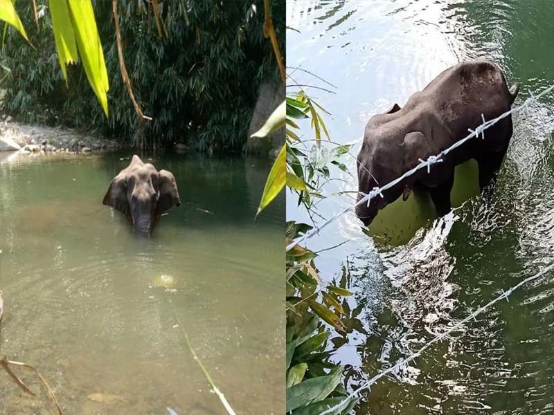 Big revelation about the death of Hathini in Kerala